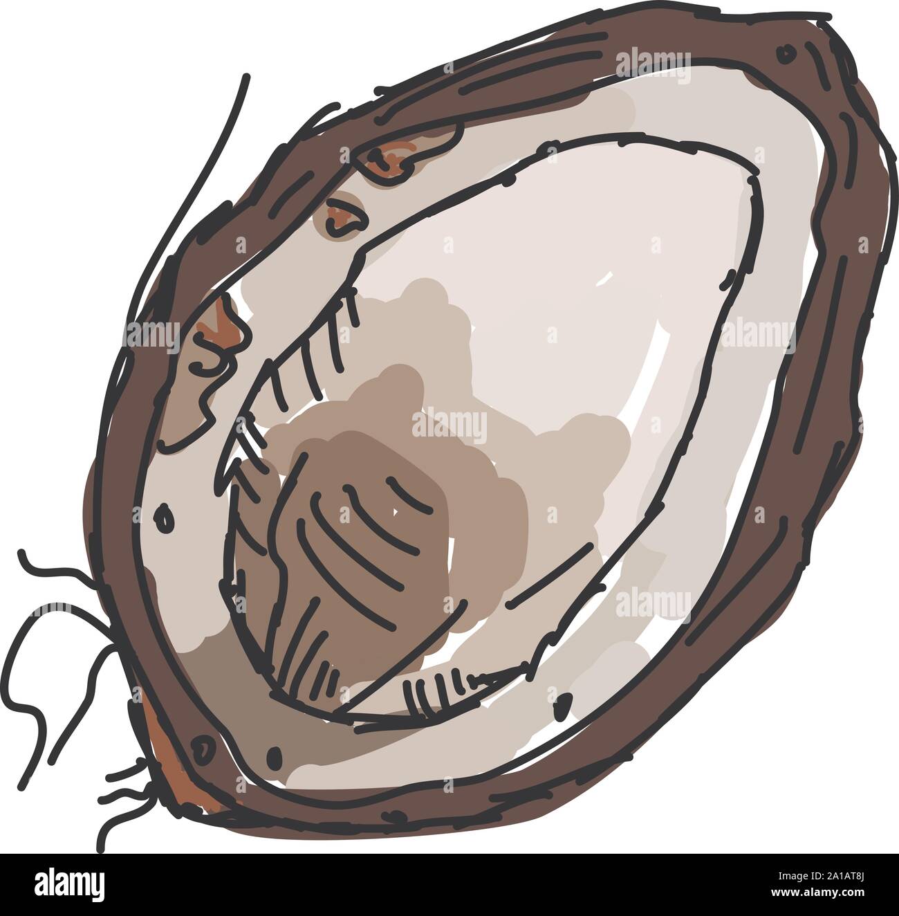 Coconut palm in tropical Stock Vector Images - Alamy