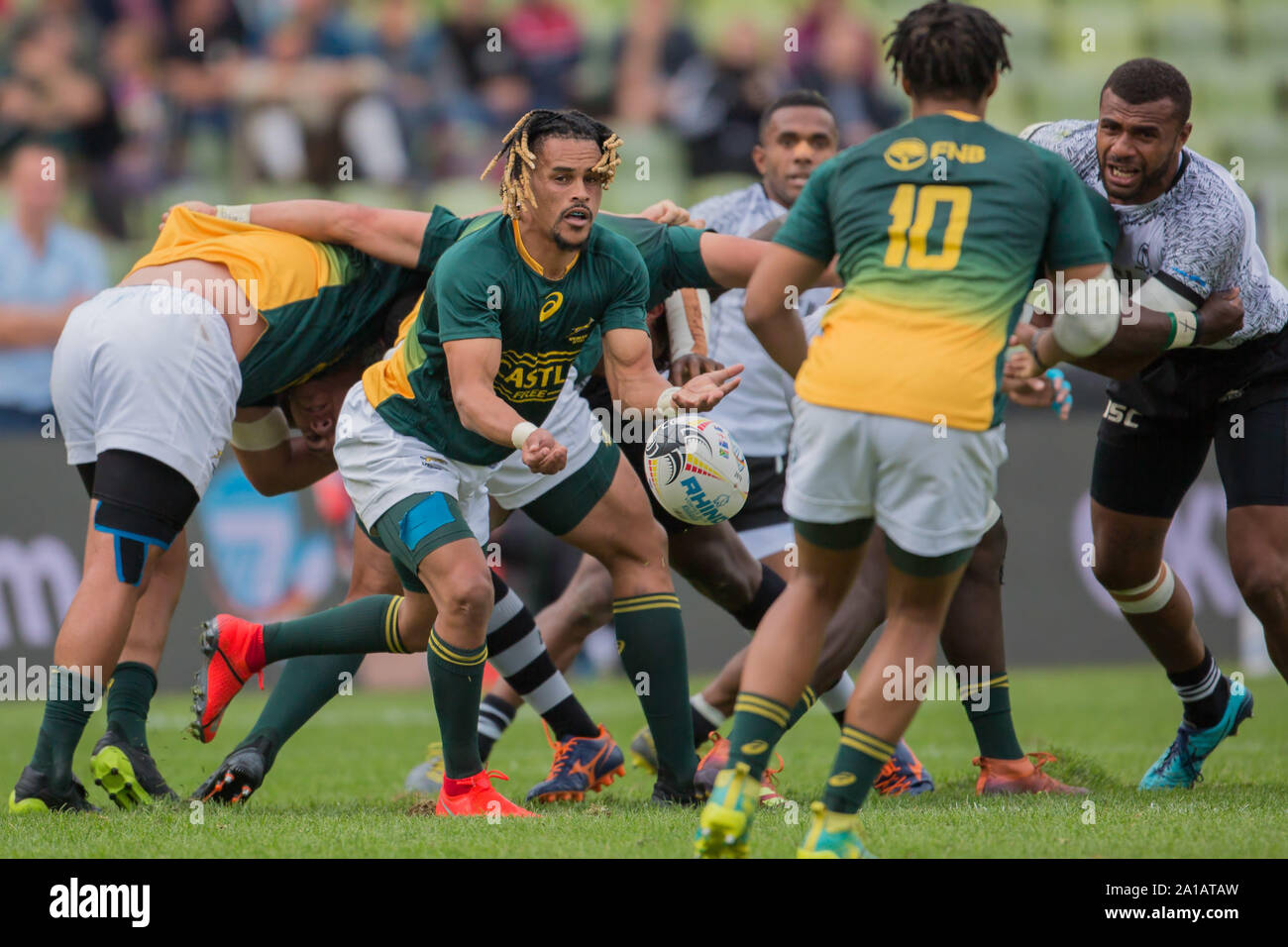 Dewald human hi-res stock photography and images - Alamy