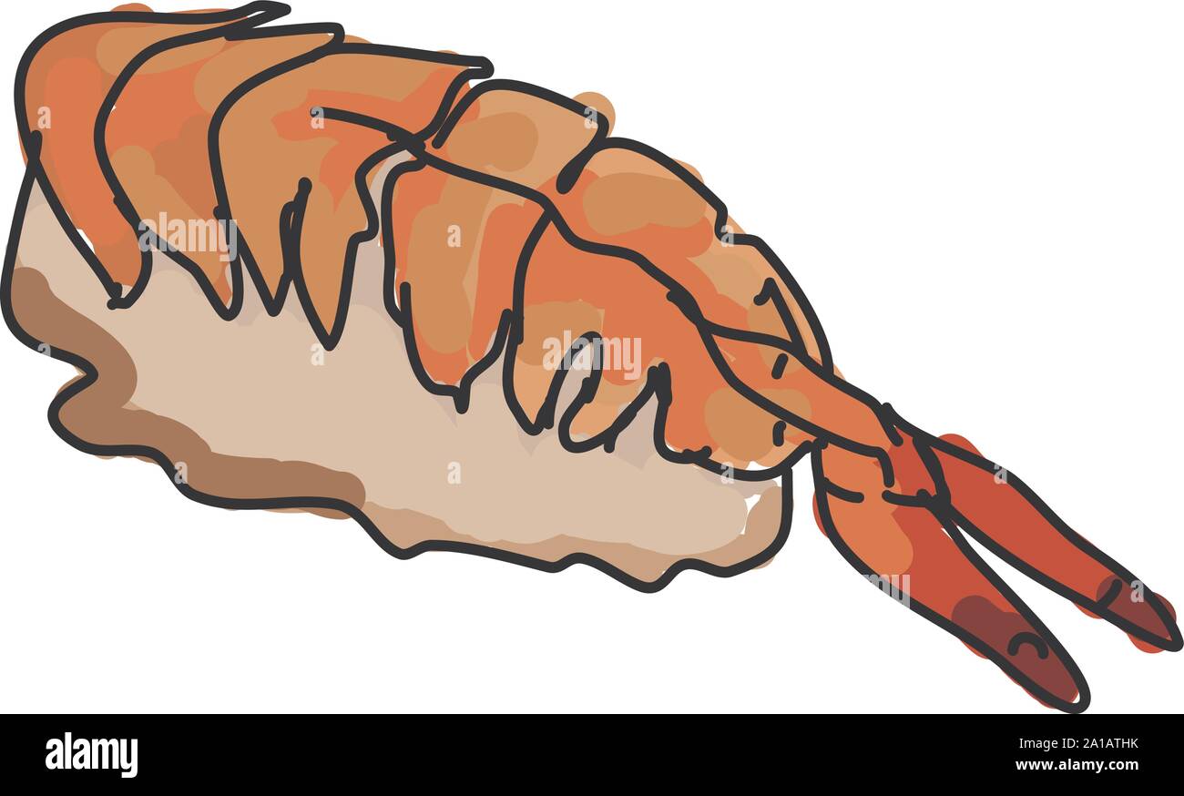 Cooked shrimp, illustration, vector on white background Stock Vector ...