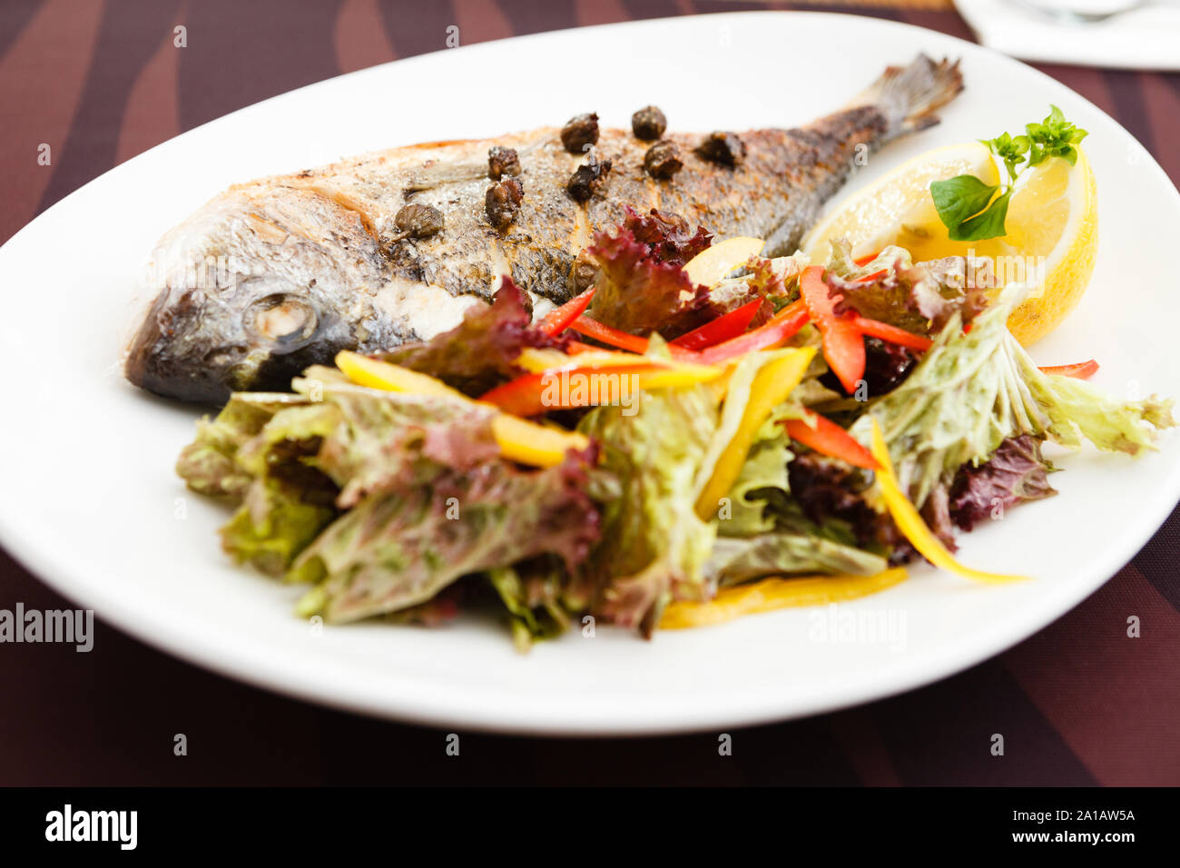 Grilled gilt-head bream fish Stock Photo - Alamy