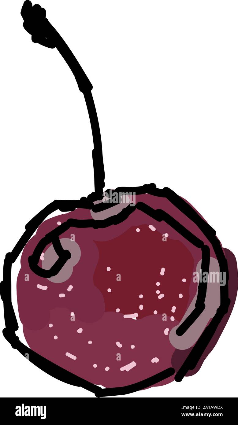 Cherries on isolated white Stock Vector Images - Alamy