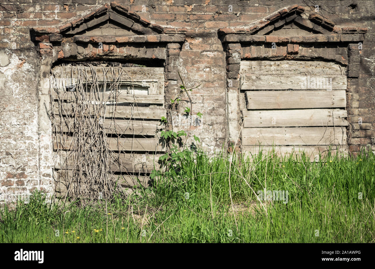 old house with boarded up windows and green plants Stock Photo - Alamy