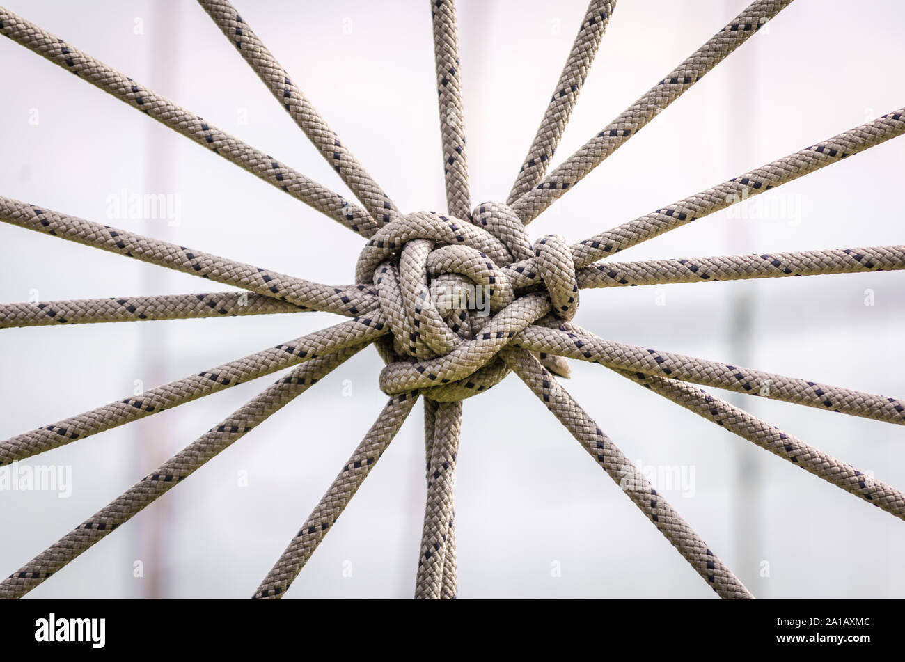 many ropes and one big knot closeup Stock Photo - Alamy