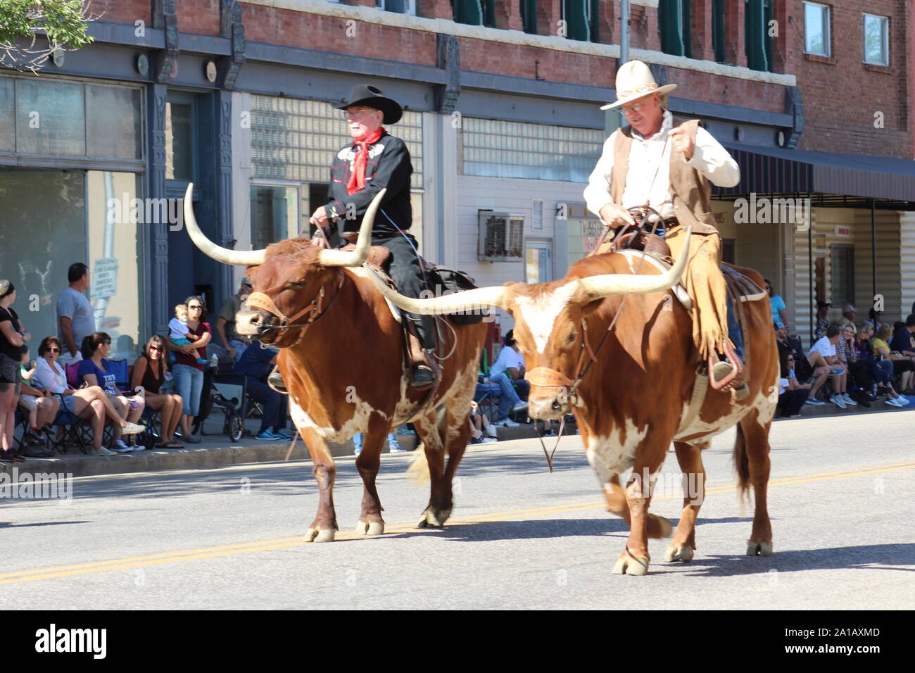 Two Cowboys Riding Bulls in the Pioneer Day Parade Stock Photo - Alamy