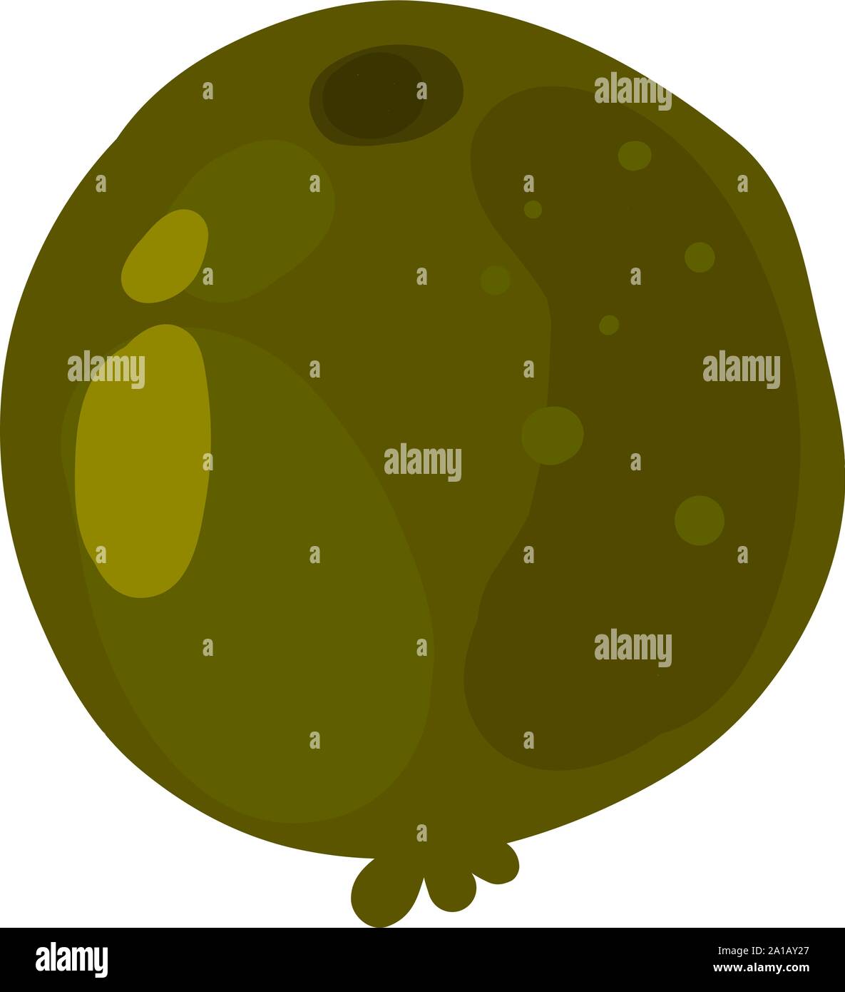 Green fruit, illustration, vector on white background Stock Vector ...