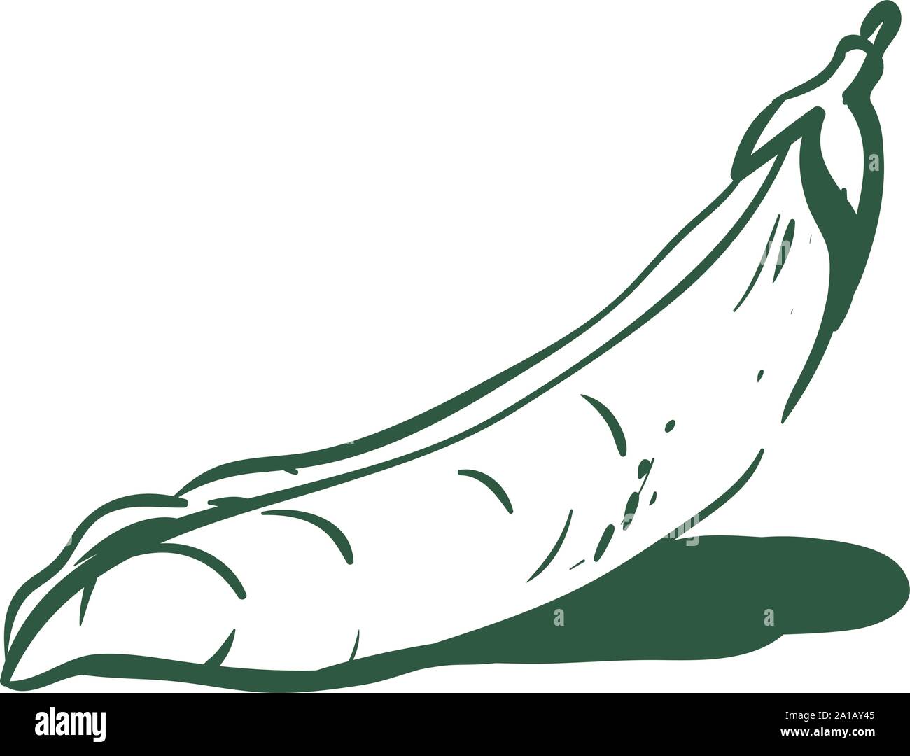 Peas drawing, illustration, vector on white background Stock Vector ...