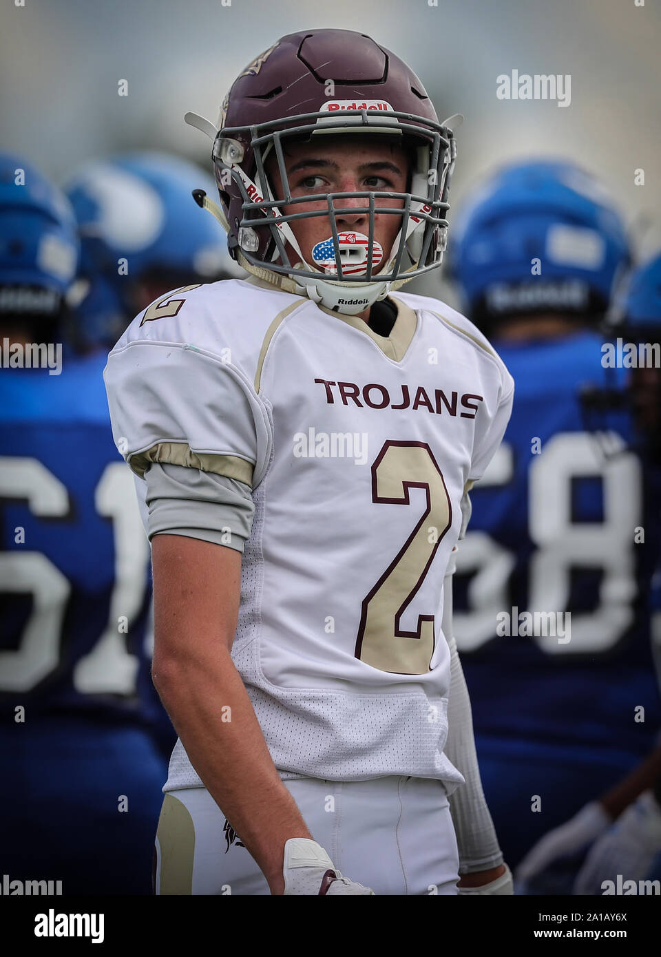 Rigby Trojan Football Helmet Logos