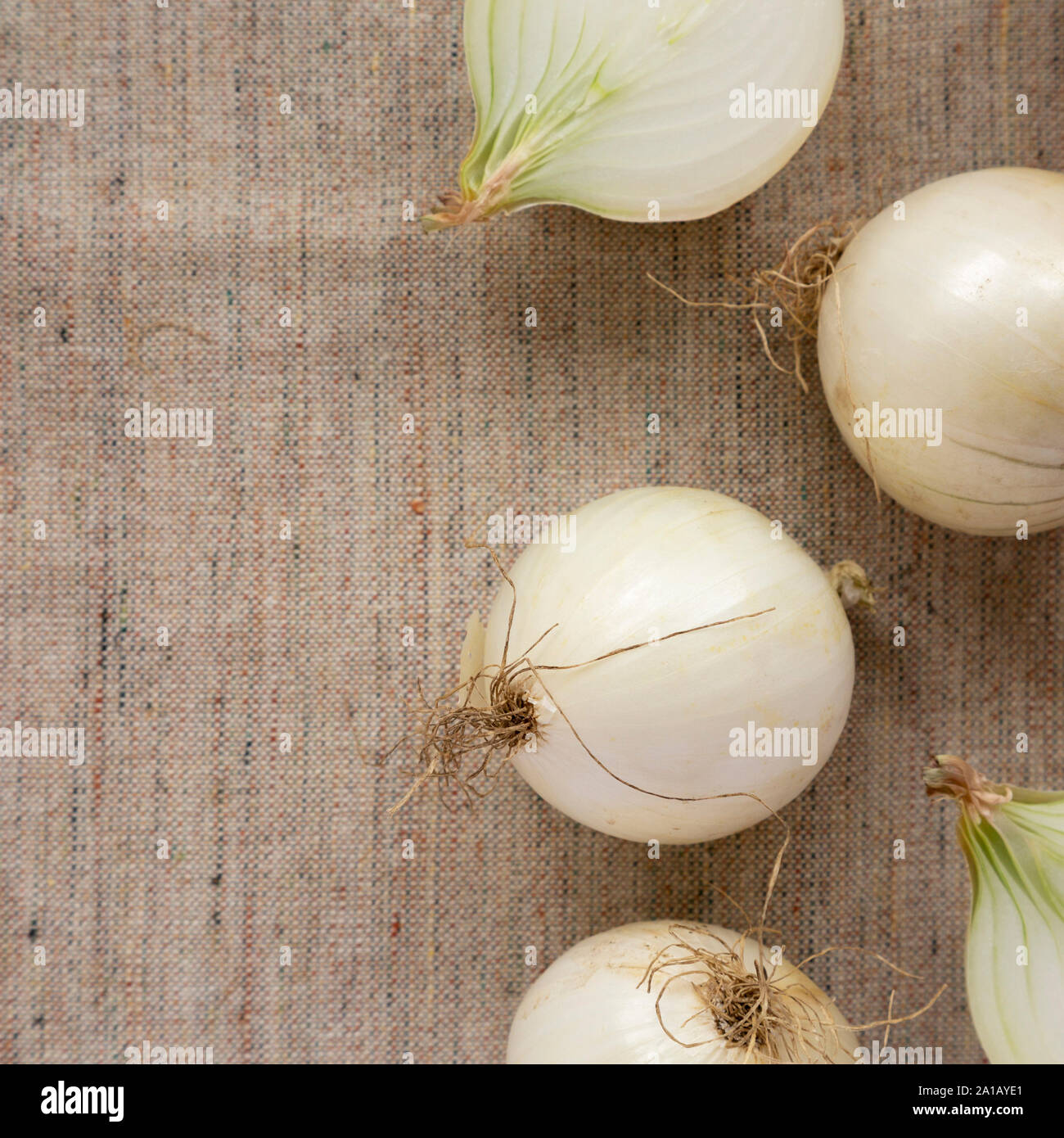 Raw white onions on cloth, overhead view. Flat lay, top view, from ...