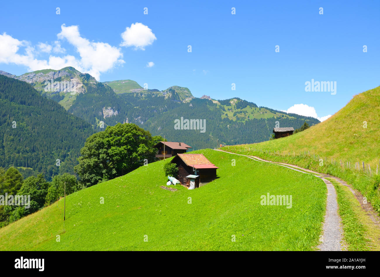 Green Alpine landscape above Lauterbrunnen in Switzerland captured in ...