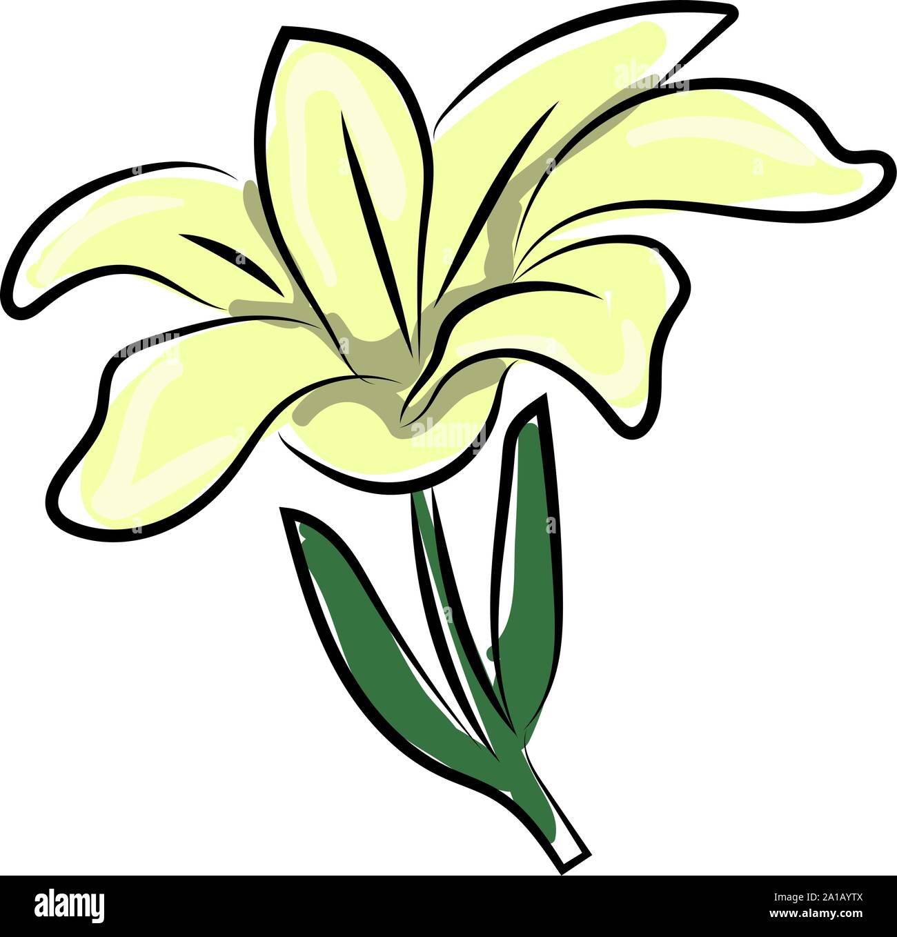 White flower, illustration, vector on white background Stock Vector ...
