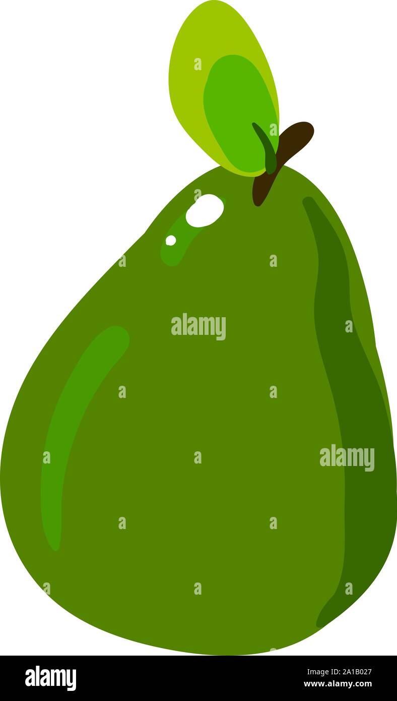 Green guava, illustration, vector on white background Stock Vector ...