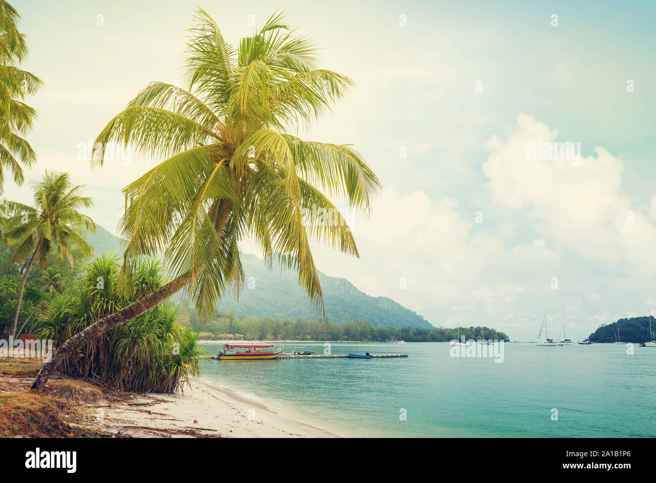 Tropical beach with palms and bright sand. Summer sea vacation and ...