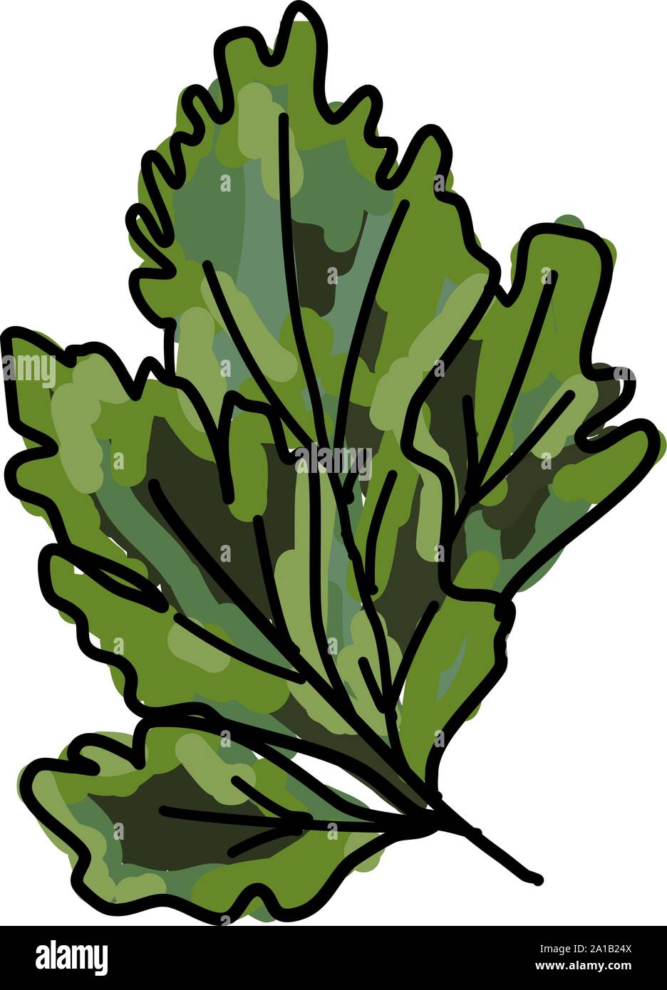 Fresh tomato spice on Stock Vector Images - Alamy