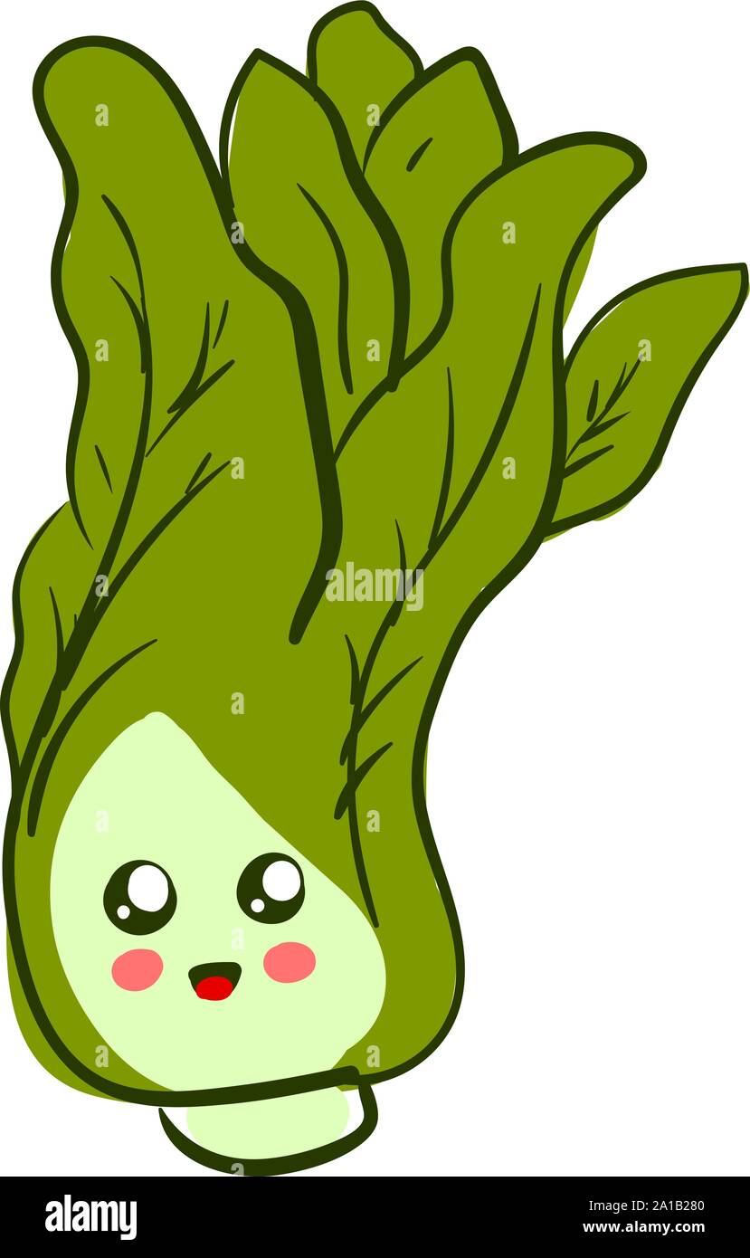 Lettuce vector background Stock Vector Images - Alamy