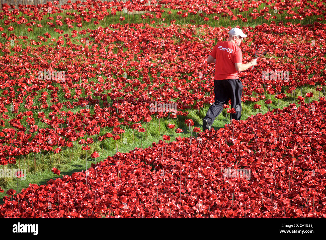 One of the volunteers at the Tower of London Blood Swept Lands and Seas ...