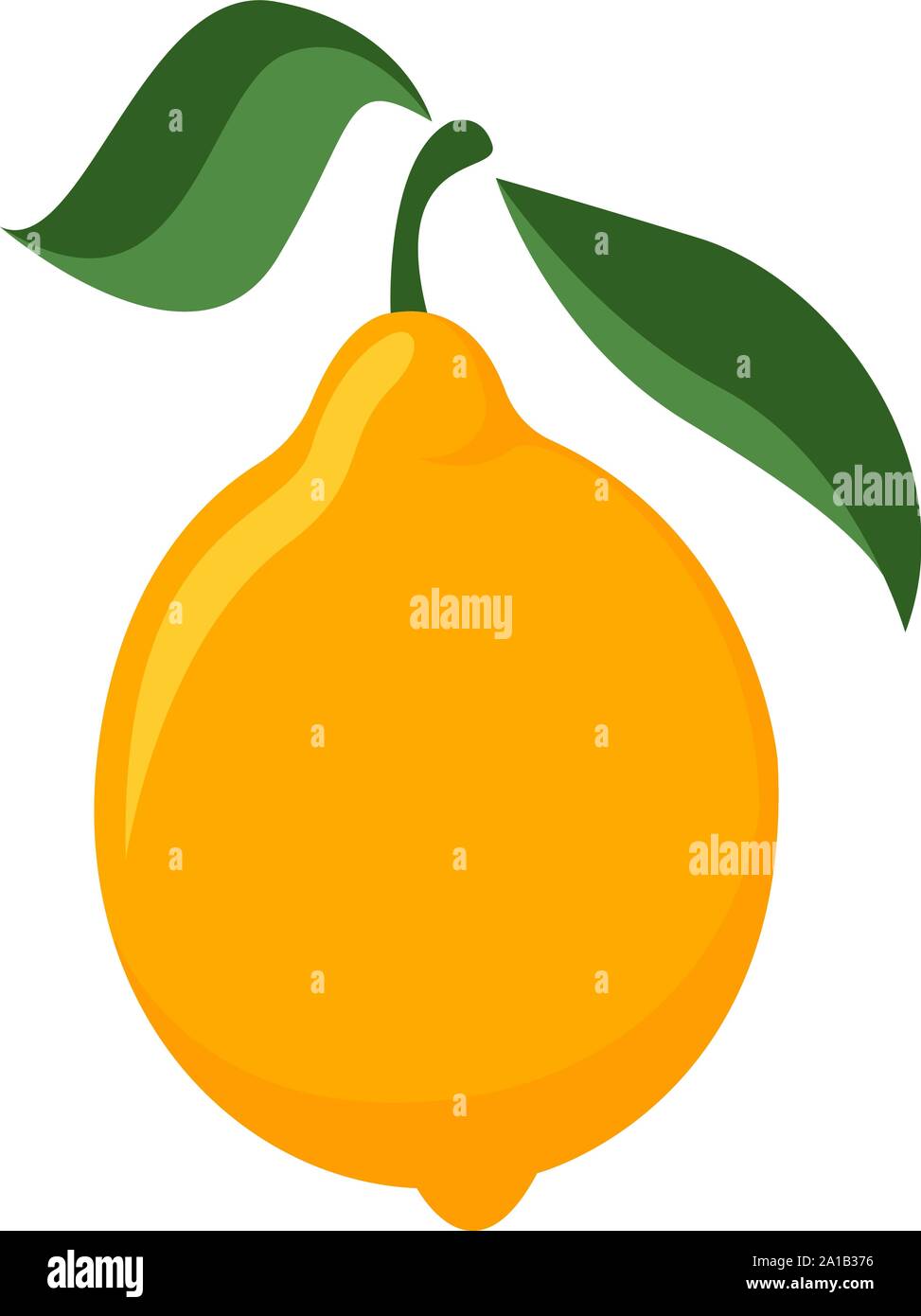 Lemon, illustration, vector on white background Stock Vector Image ...