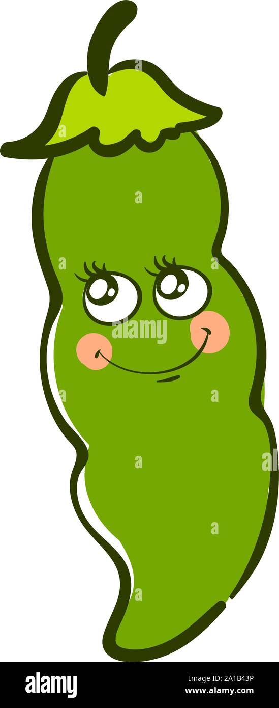 Cute beans, illustration, vector on white background Stock Vector Image ...