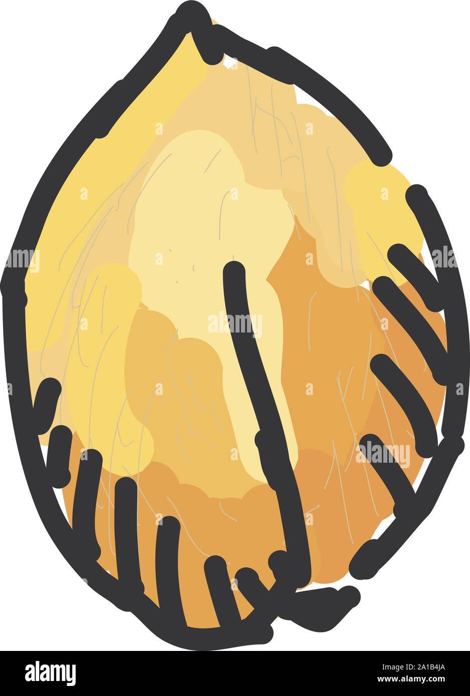 Loquat background Stock Vector Images - Alamy