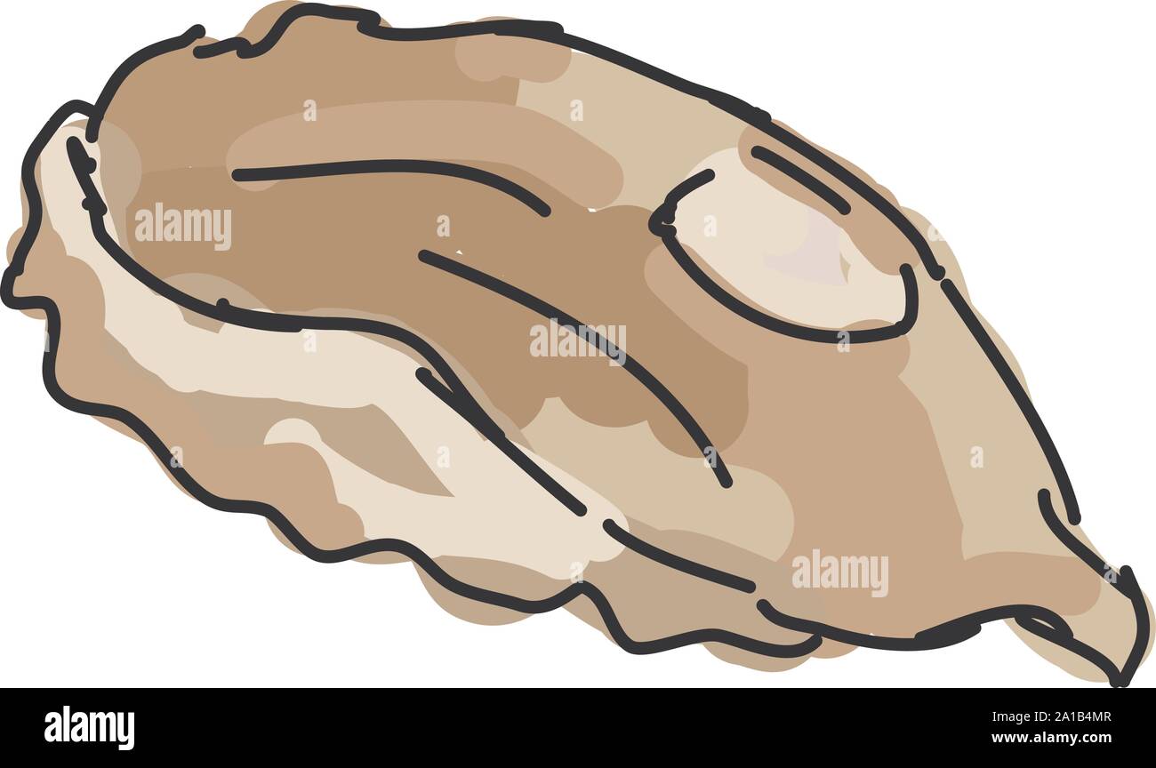 Flounder, illustration, vector on white background Stock Vector Image ...