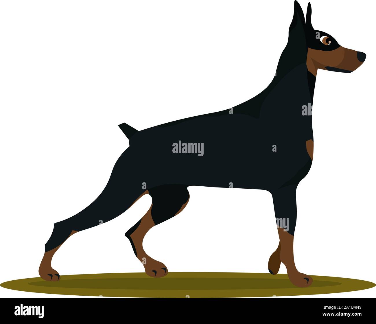 White poodle on black Stock Vector Images - Alamy