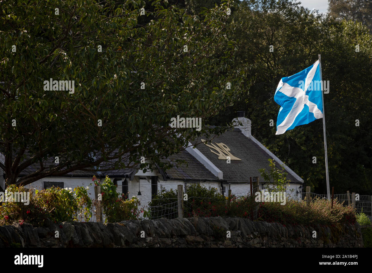 Trees scottish flag hi-res stock photography and images - Alamy