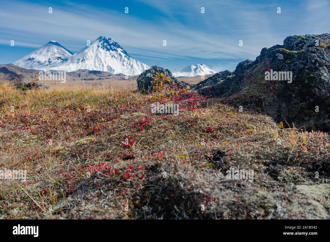 Views of Kliuchevskoi, Kamen and Bezimianny volcanoes in Kliuchevskoi ...