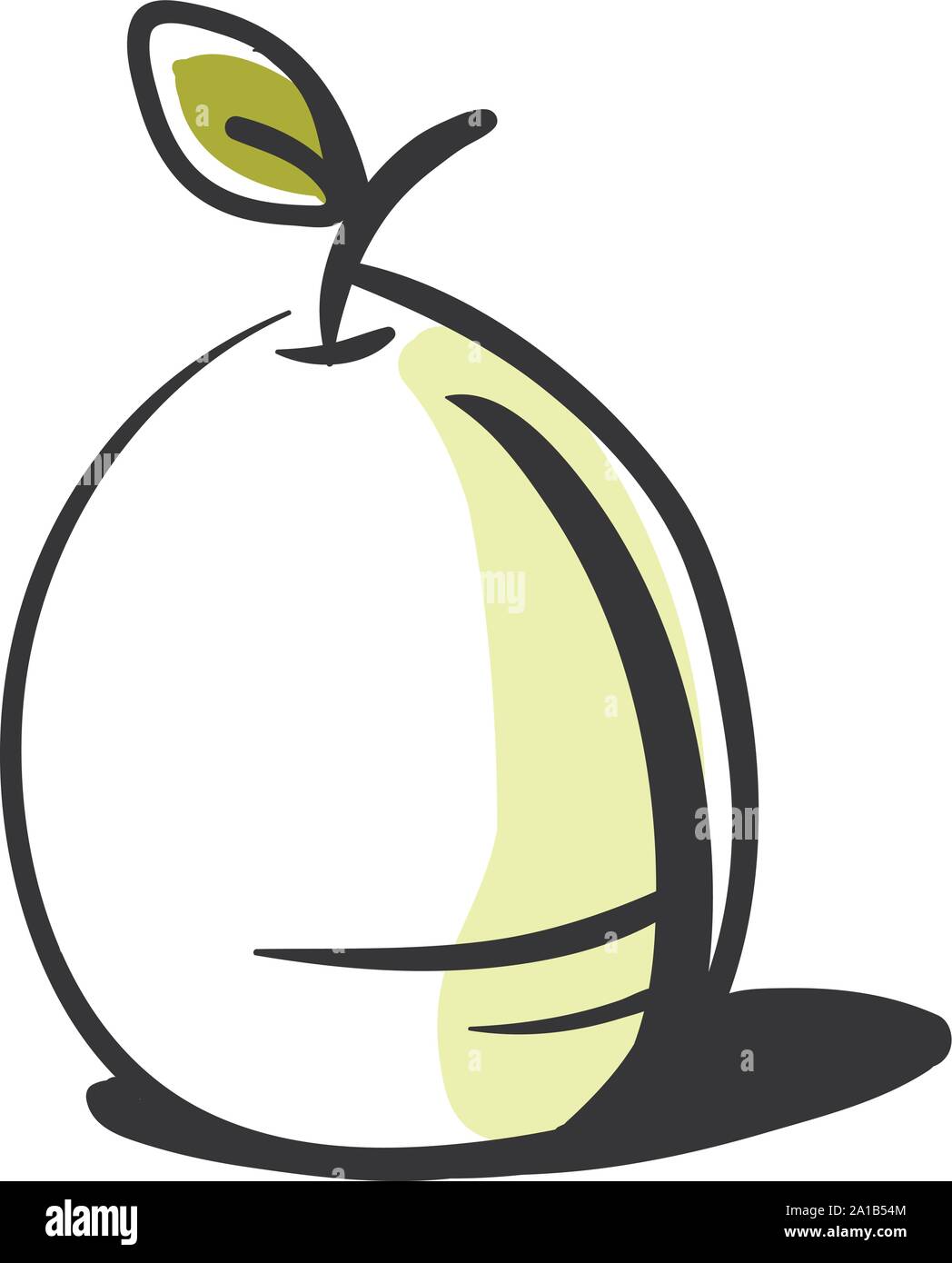 Guava drawing, illustration, vector on white background Stock Vector ...