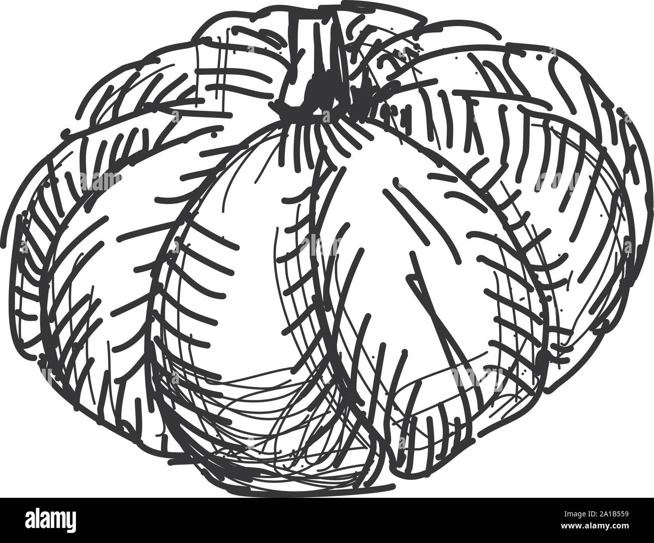Pumpkin drawing, illustration, vector on white background Stock Vector ...