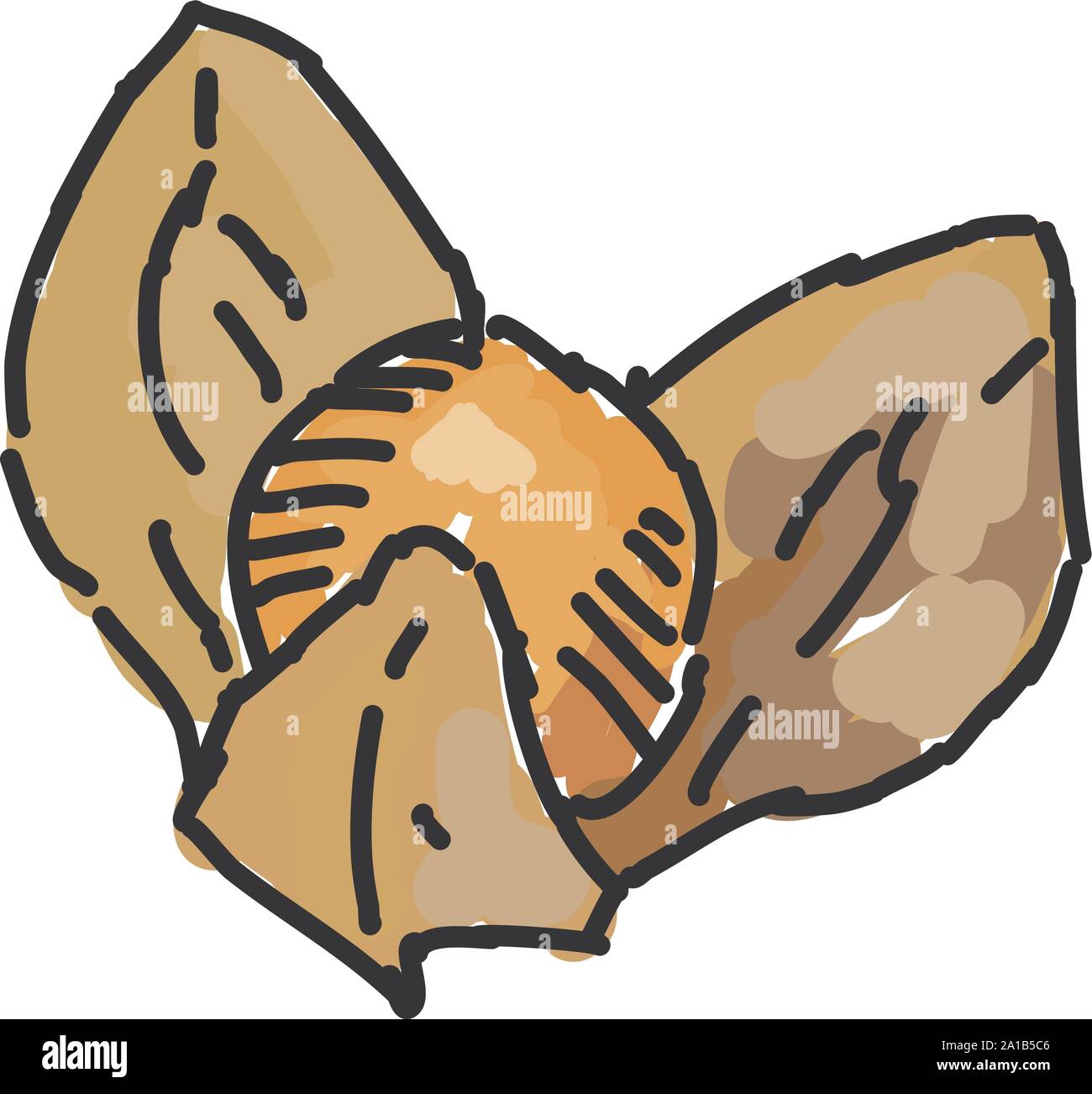 Physalis vector vectors Cut Out Stock Images & Pictures - Alamy