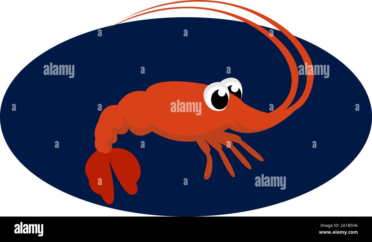 Red shrimp, illustration, vector on white background Stock Vector Image ...