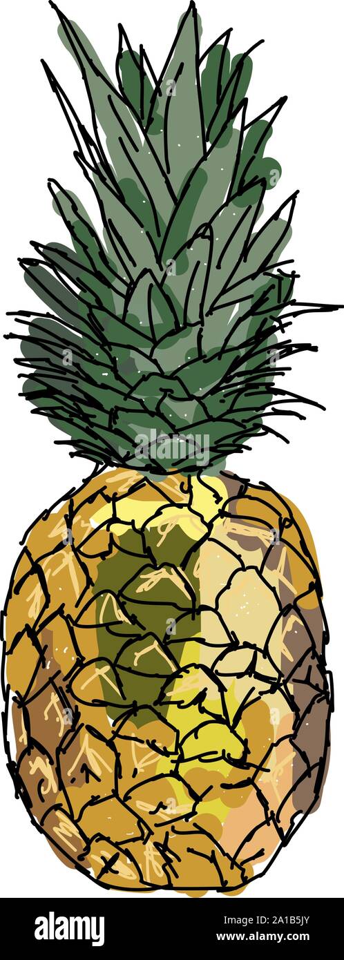 Pineapple watermelon Cut Out Stock Images & Pictures - Alamy