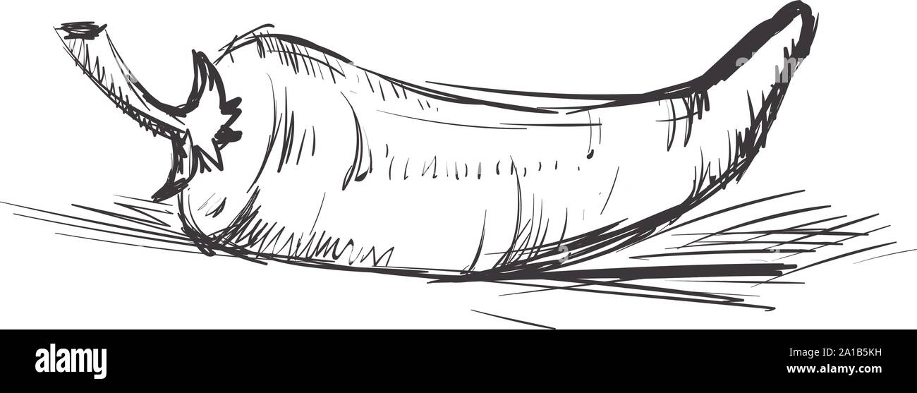 Pepper drawing, illustration, vector on white background Stock Vector ...