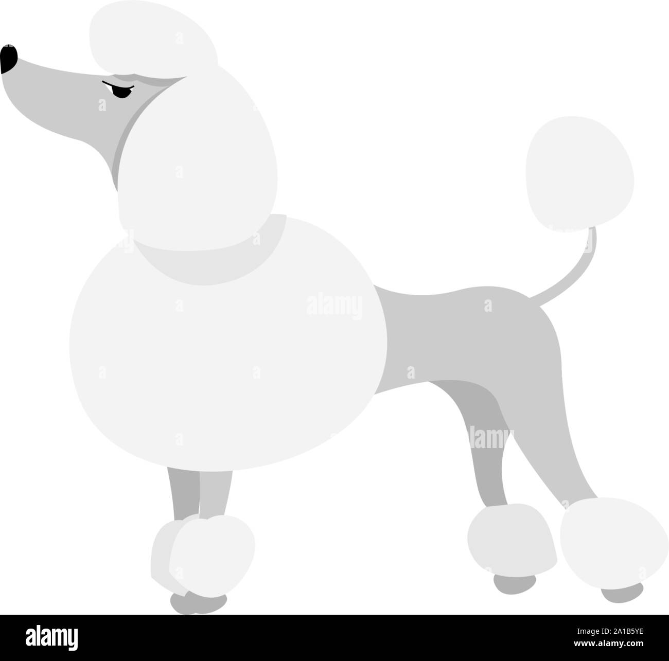 White poodle, illustration, vector on white background Stock Vector ...