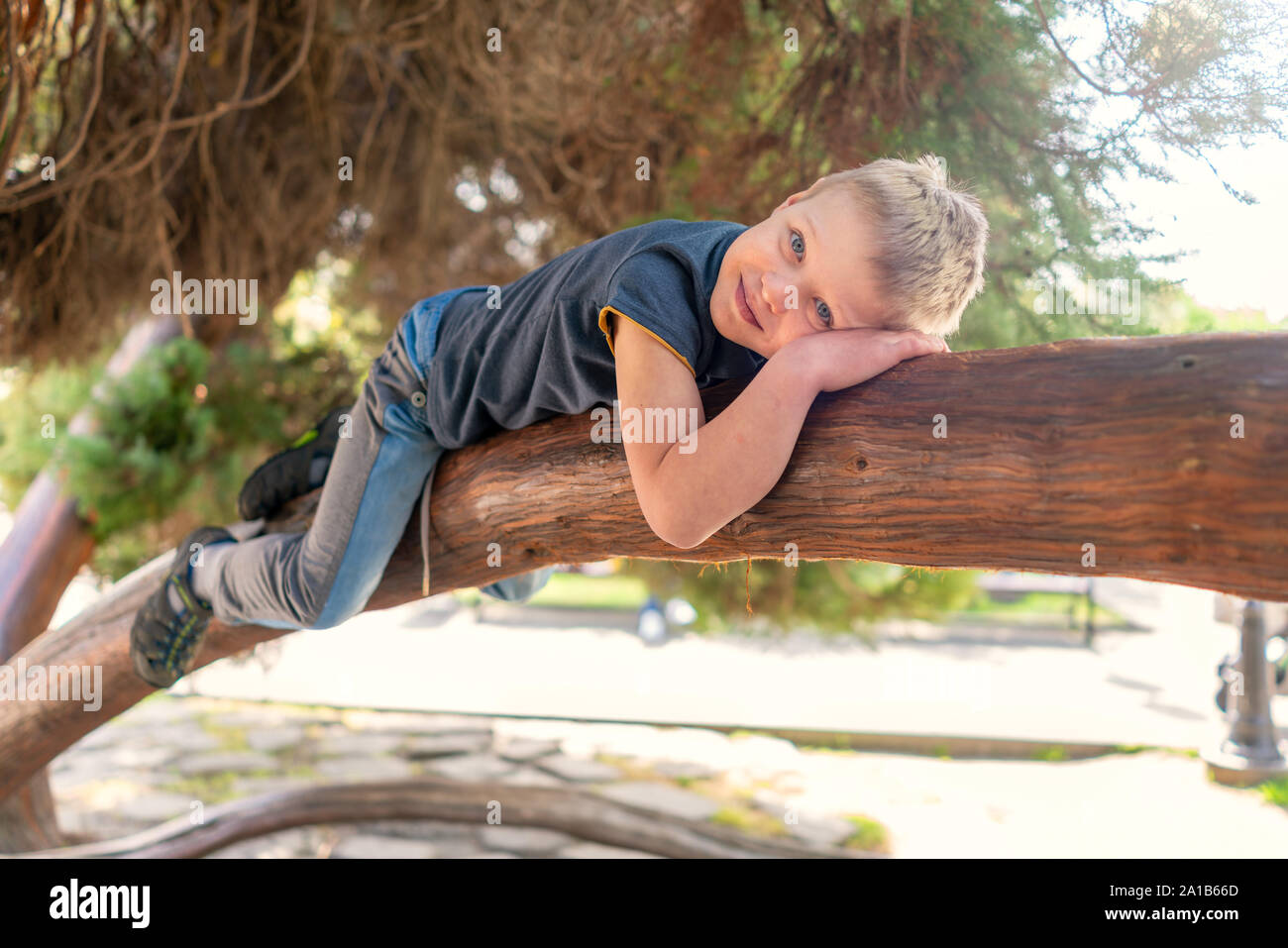 A little boy climbed a tree and rests. The boy lies on a thick branch ...