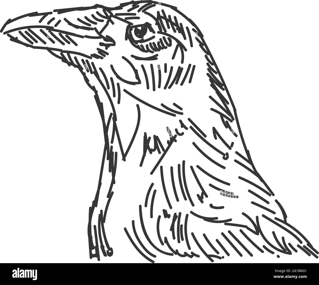 Bird drawing, illustration, vector on white background Stock Vector ...