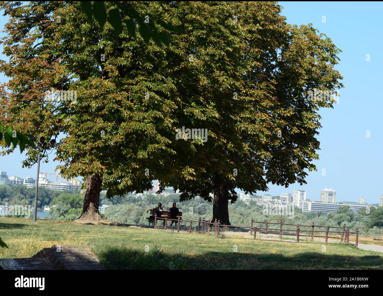 Image of men sat on bench between trees overlooking rivers Sava and ...