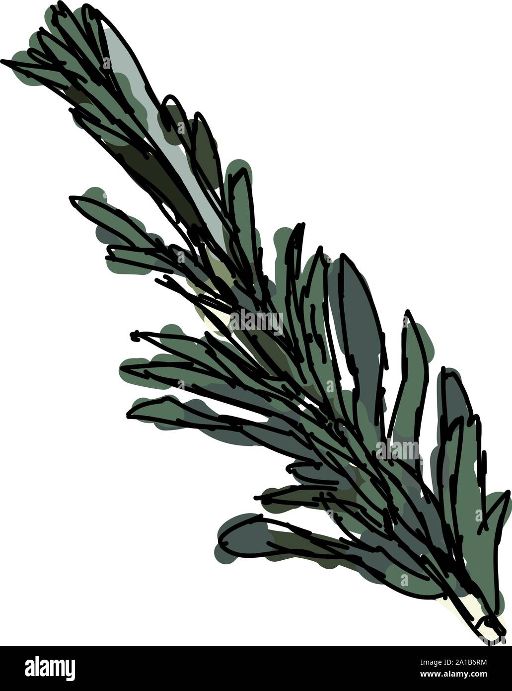 Plant rosemary on white Stock Vector Images - Alamy