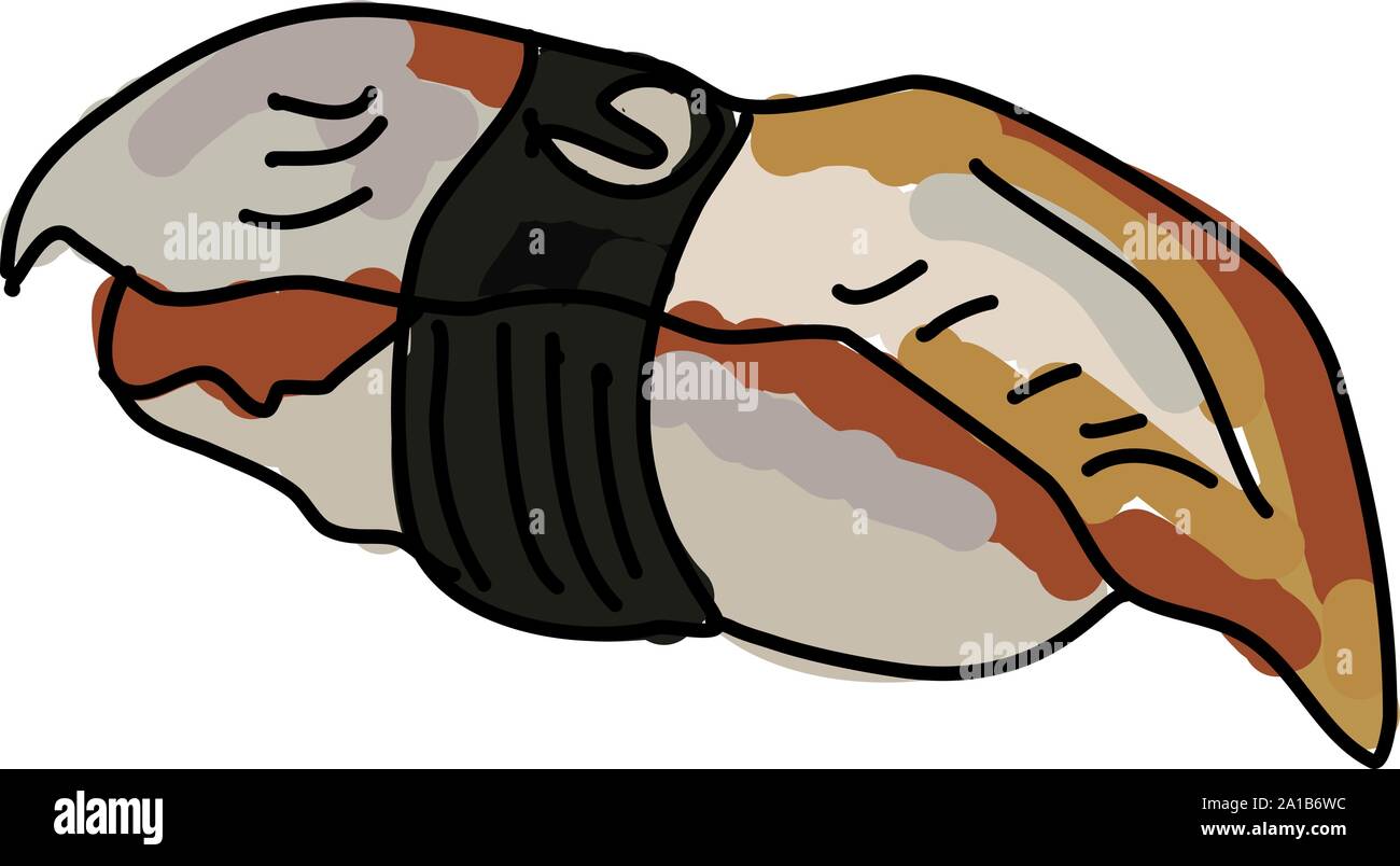 Raw octopus on traditional food Stock Vector Images - Alamy