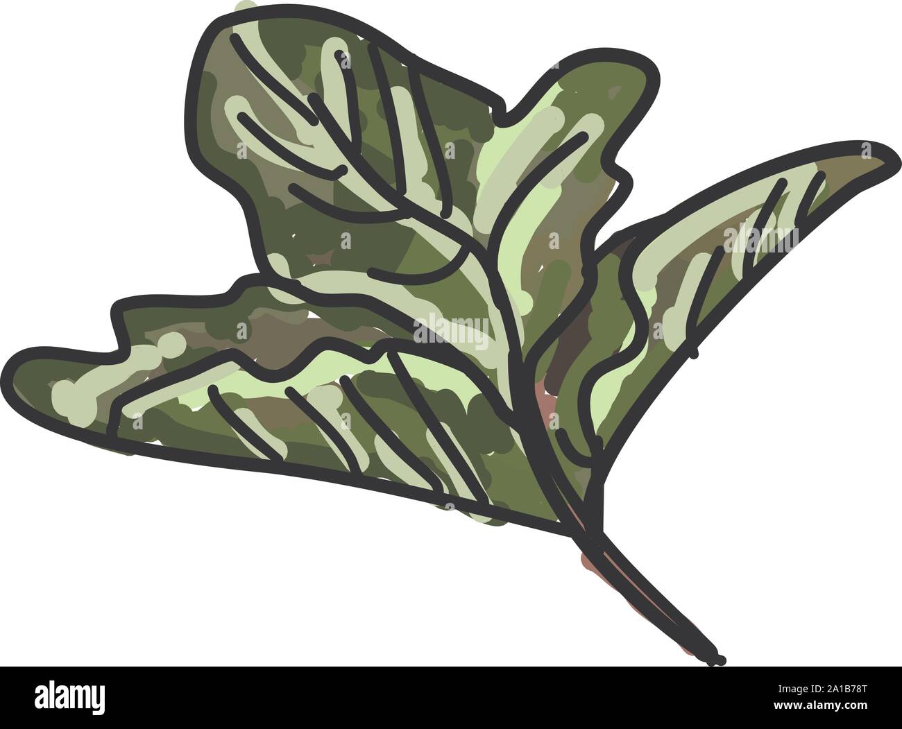 Fresh organic sweet mint Stock Vector Images - Alamy