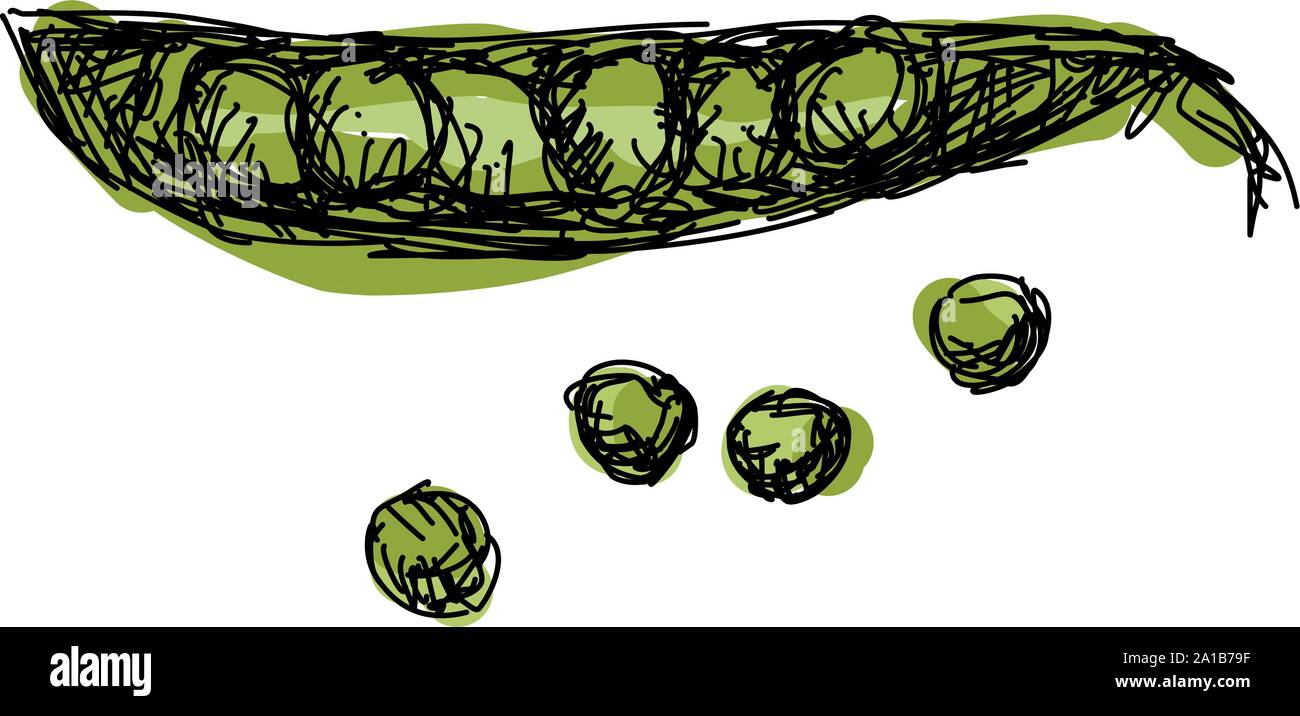 Vector pattern green pea Cut Out Stock Images & Pictures - Alamy