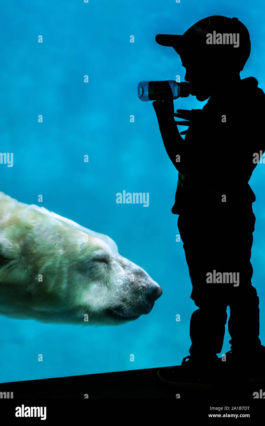 Bears in zoos hi-res stock photography and images - Alamy