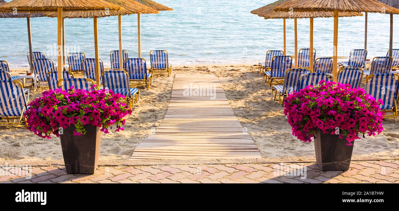 Sandy beach with flower pots of purple flowers near the wooden path to ...