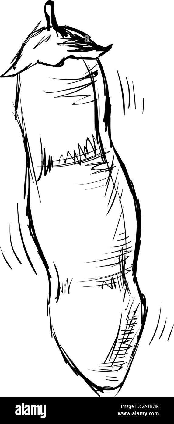 Raw black beans on Stock Vector Images - Alamy