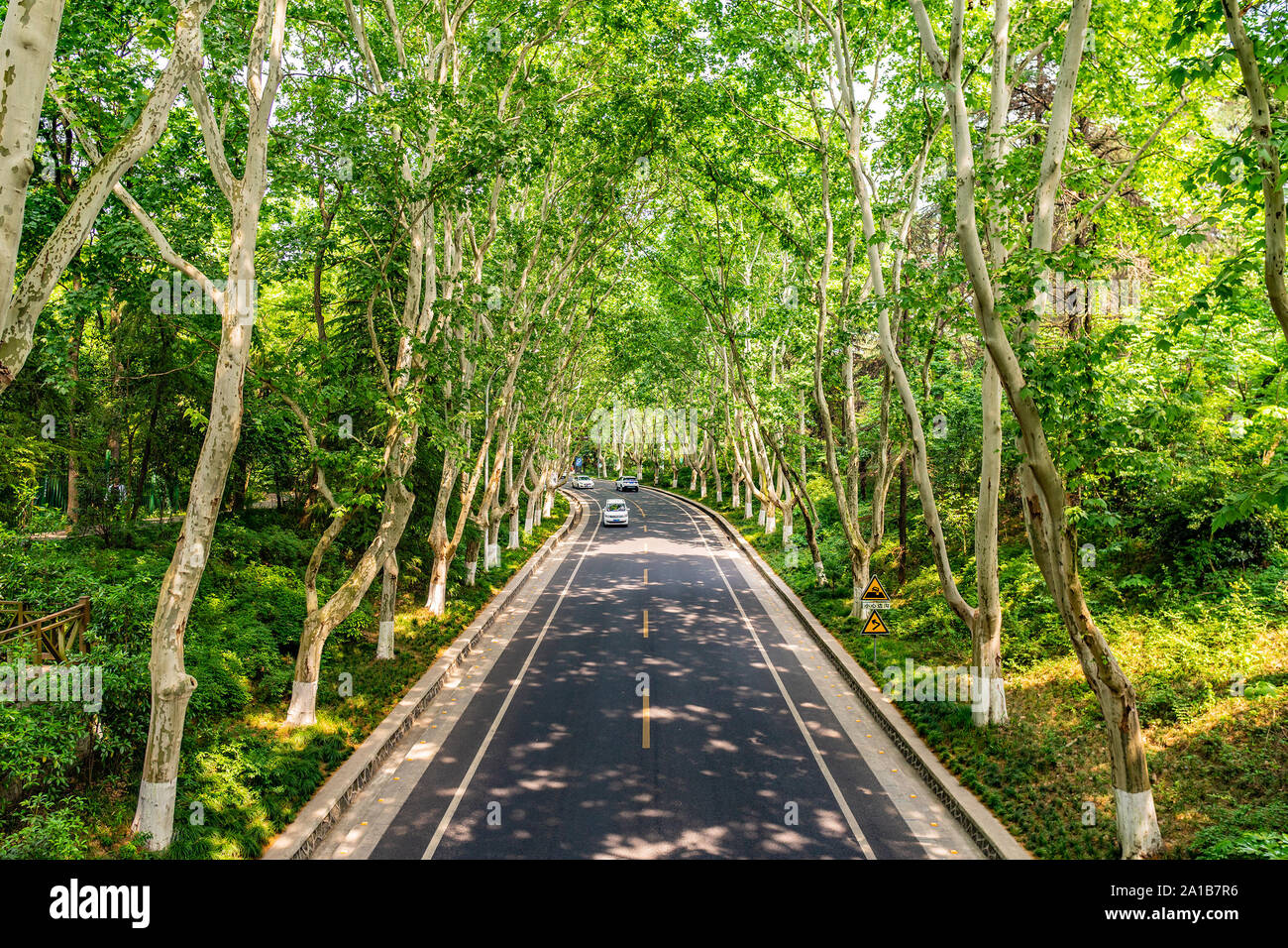 Nanjing Ming Xiaoling Mausoleum Mingling Road Leading Lines High Angle ...