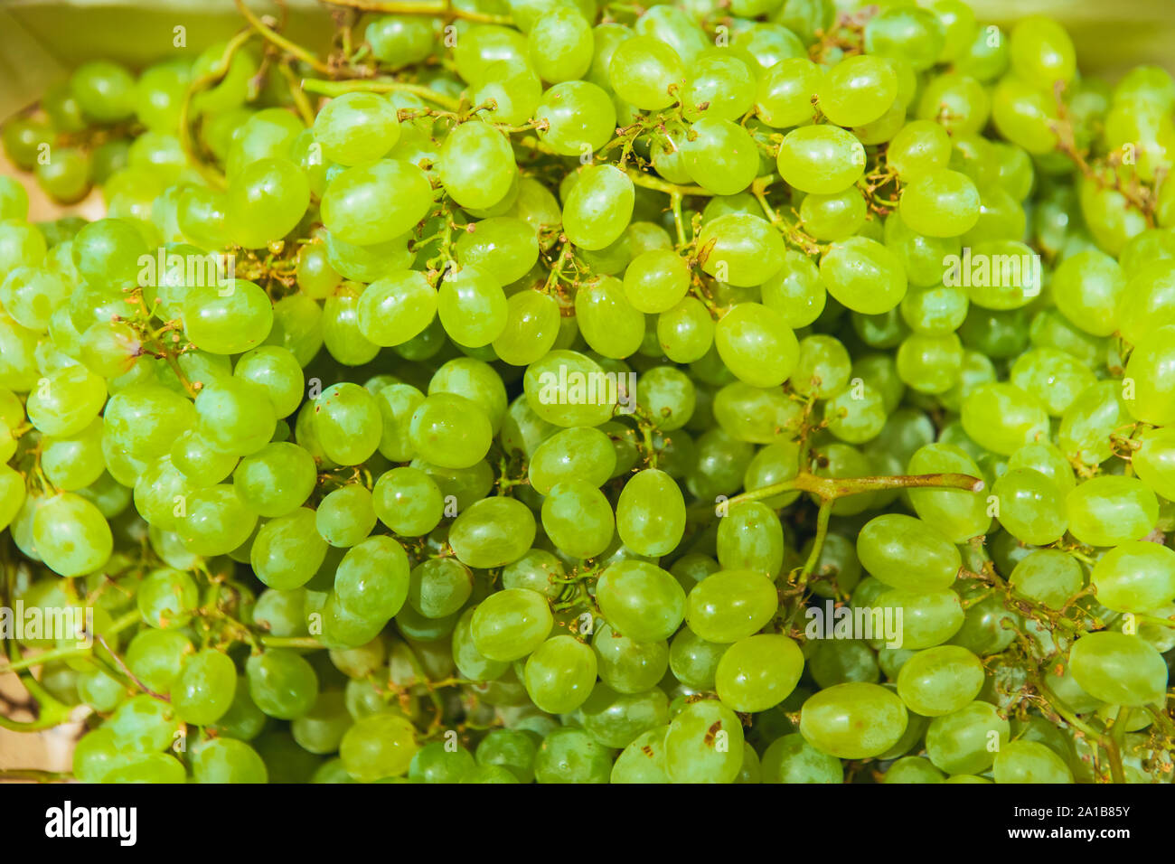 Green Grape Texture