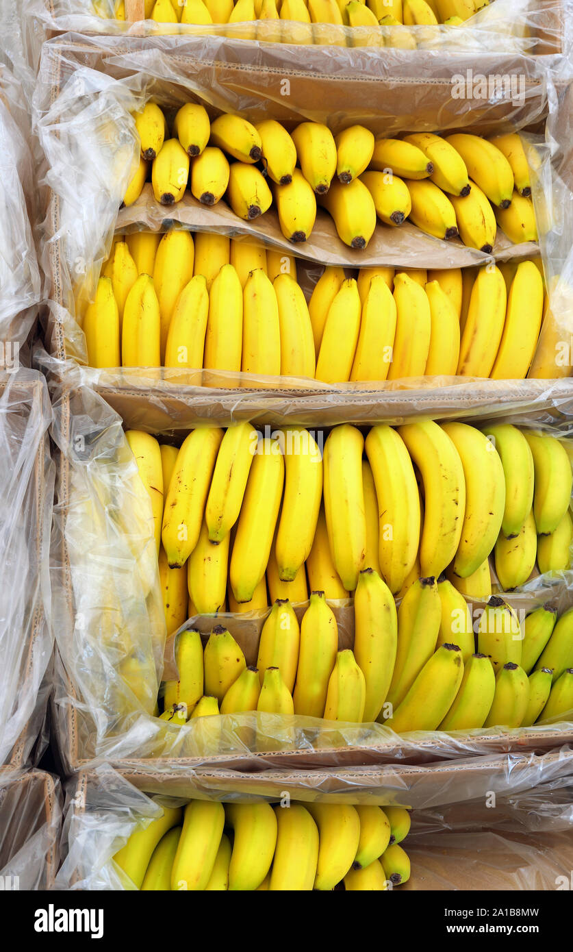 Ecuador banana boxes hi-res stock photography and images - Alamy