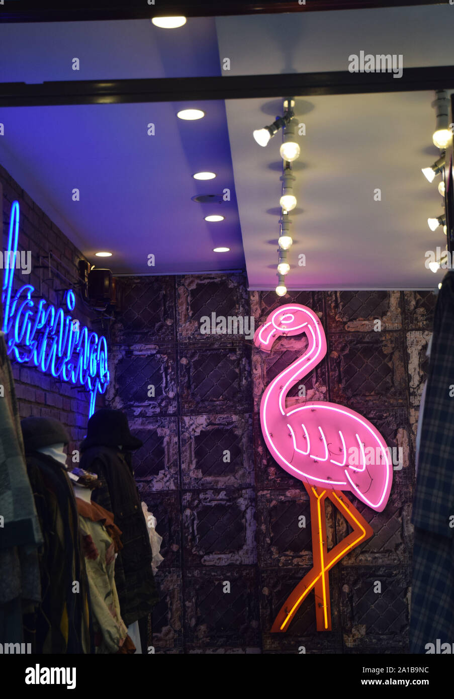 Neon flamingo light hi-res stock photography and images - Alamy