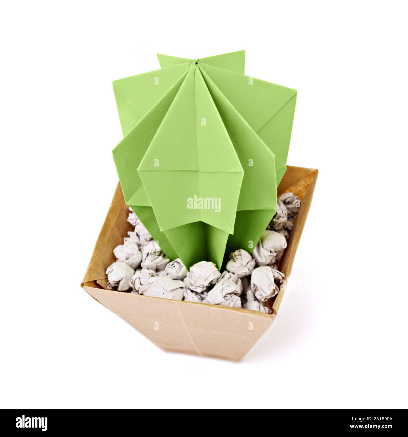 Four cactus Cut Out Stock Images & Pictures - Alamy