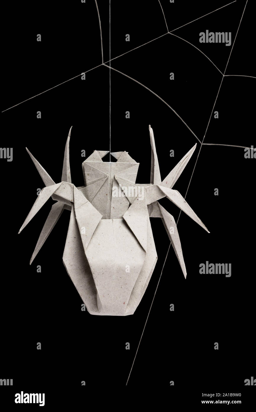 Origami spider isolated Stock Photo - Alamy