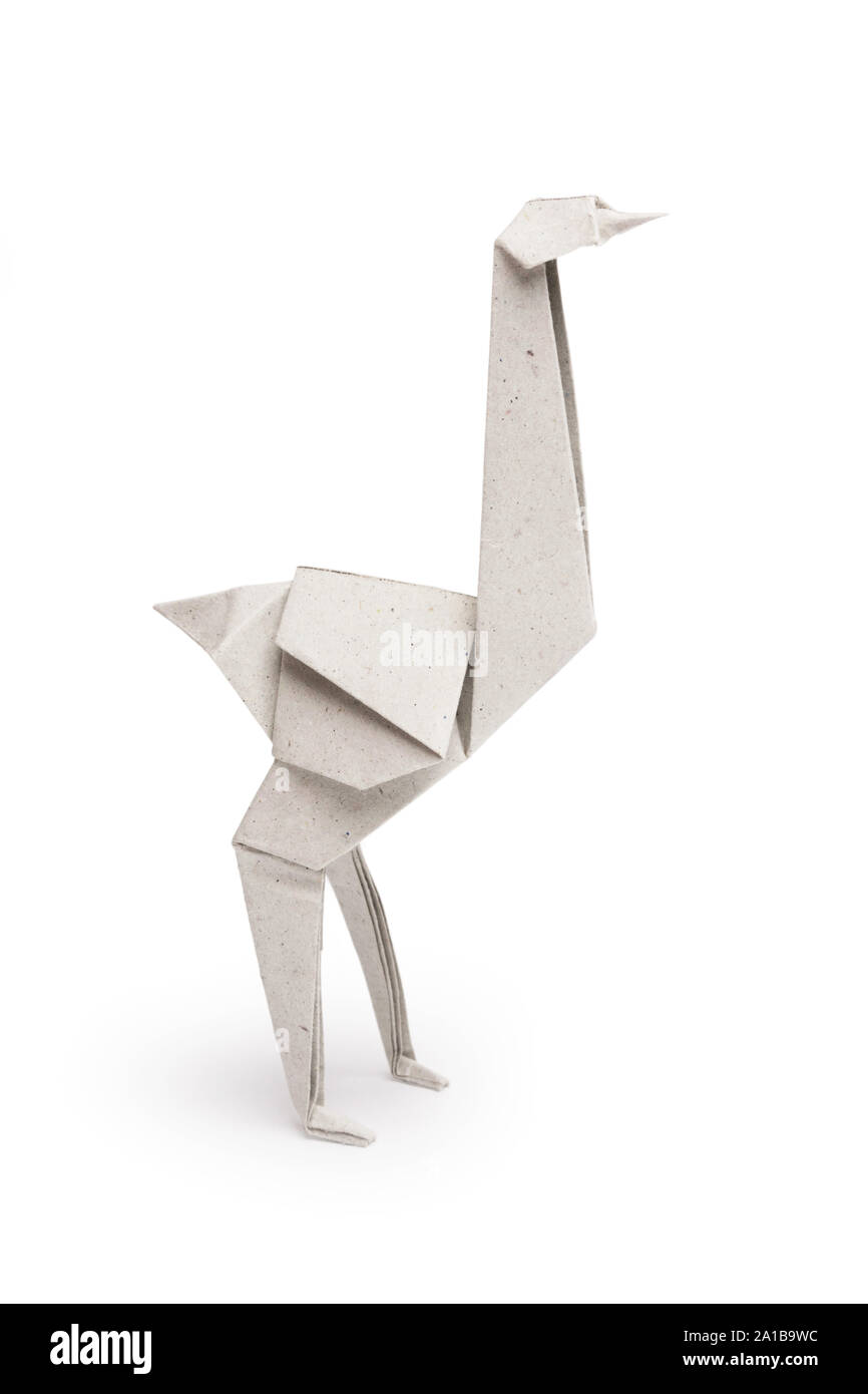 Origami ostrich isolated Stock Photo - Alamy